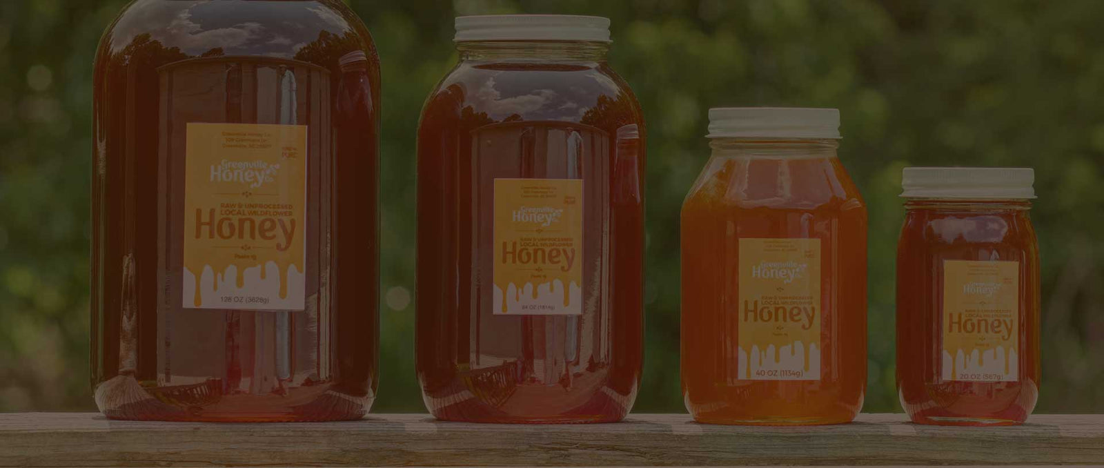 Helps Your Immune System /Greenville Honey Co - 100% Pure Honey Honey